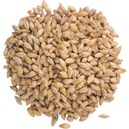 Weyermann® Specialty Malts - Acidulated Malt – Oregonized Brewing