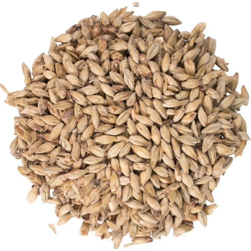 Gambrinus Malting® - Honey Malt – Oregonized Brewing